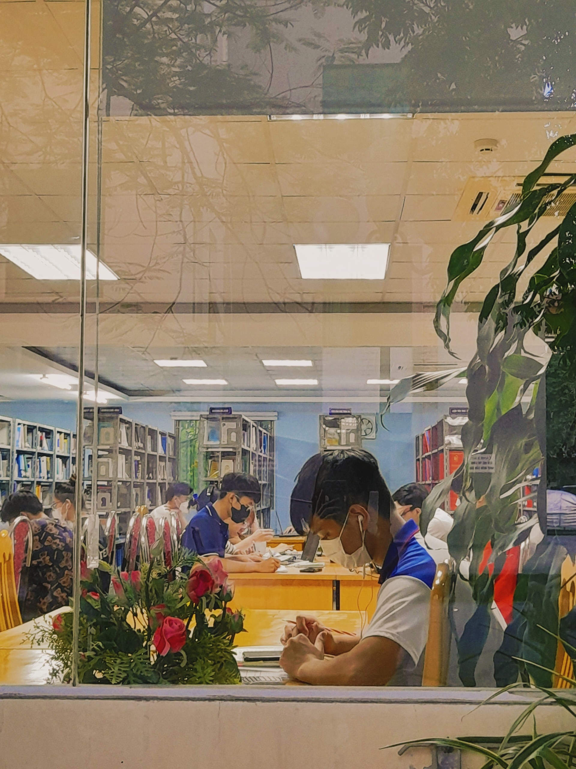 Cẩm Tú's Profiles